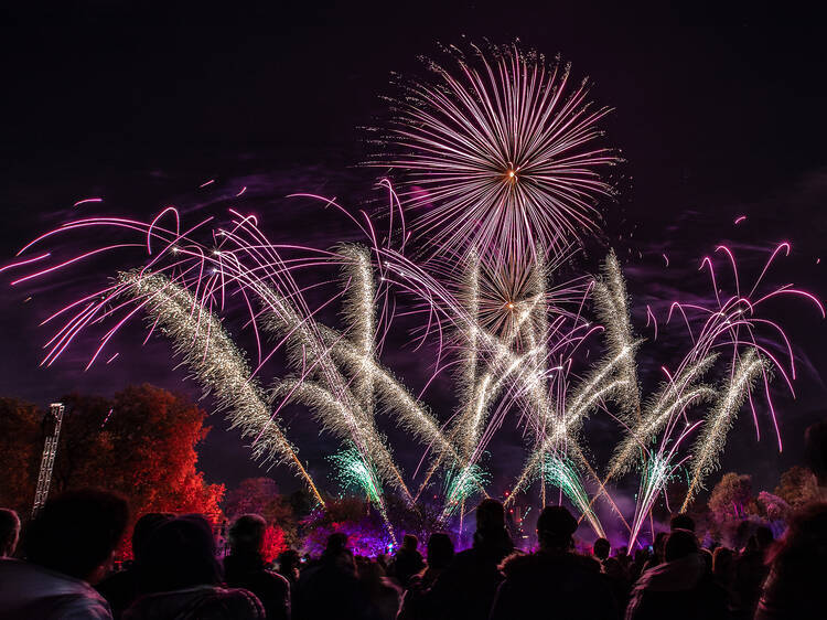 Health & Safety of Firework Displays: What Event Holders Must Know ...